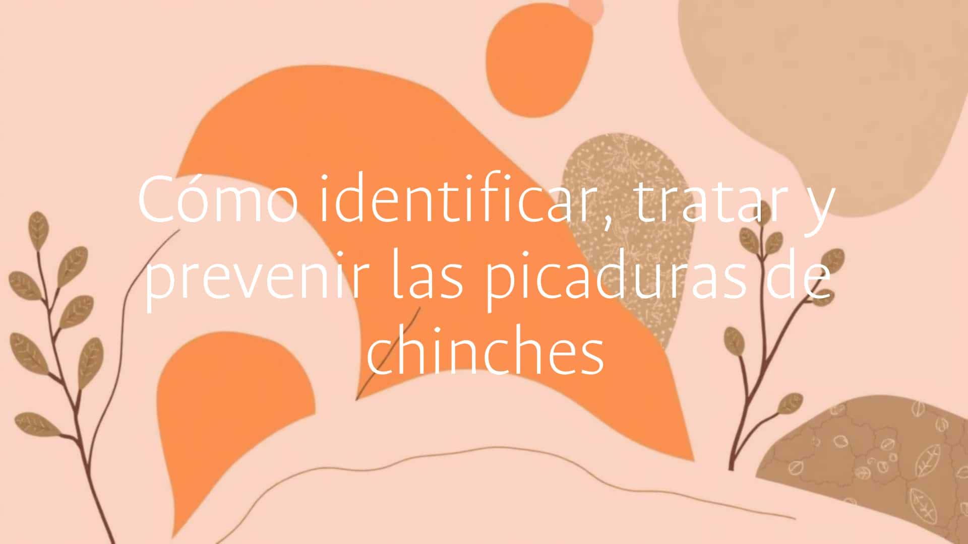 Cómo identificar, tratar y prevenir las picaduras de chinches - Vidadejardin